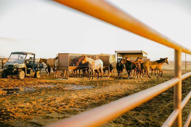 Stuart Ranch | Can-Am Livin' The Land - UTV Off-Road Magazine